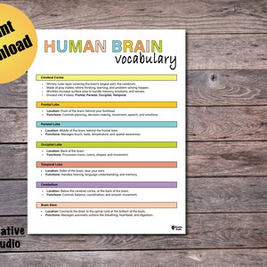 Brain Anatomy Printable Activity, Kids Science Puzzle, Brain Parts ...