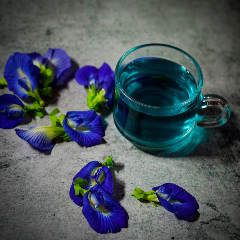 Organic Herb Blue Butterfly Pea Flower Clitoria Ternatea All Natural ...