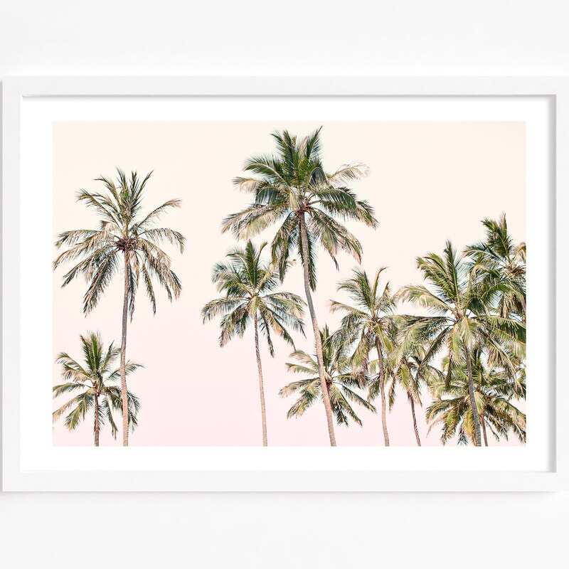Pink Palm Trees - Etsy