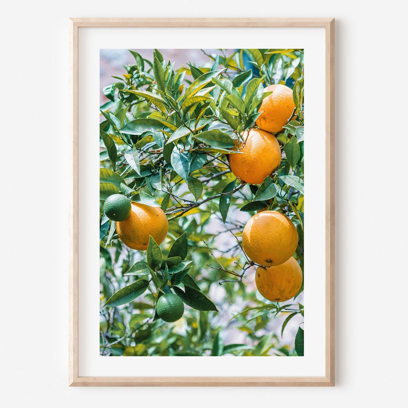 Fruit Photography - Etsy