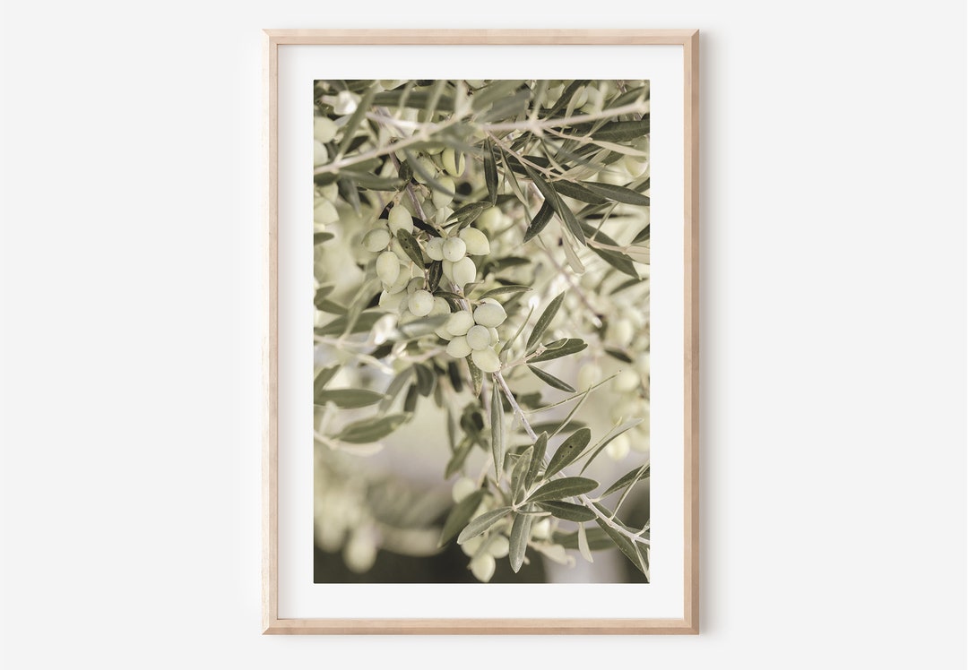 Olives Print, Boho Sage Green Olive Branch Leaf Wall Art, Green Olive ...