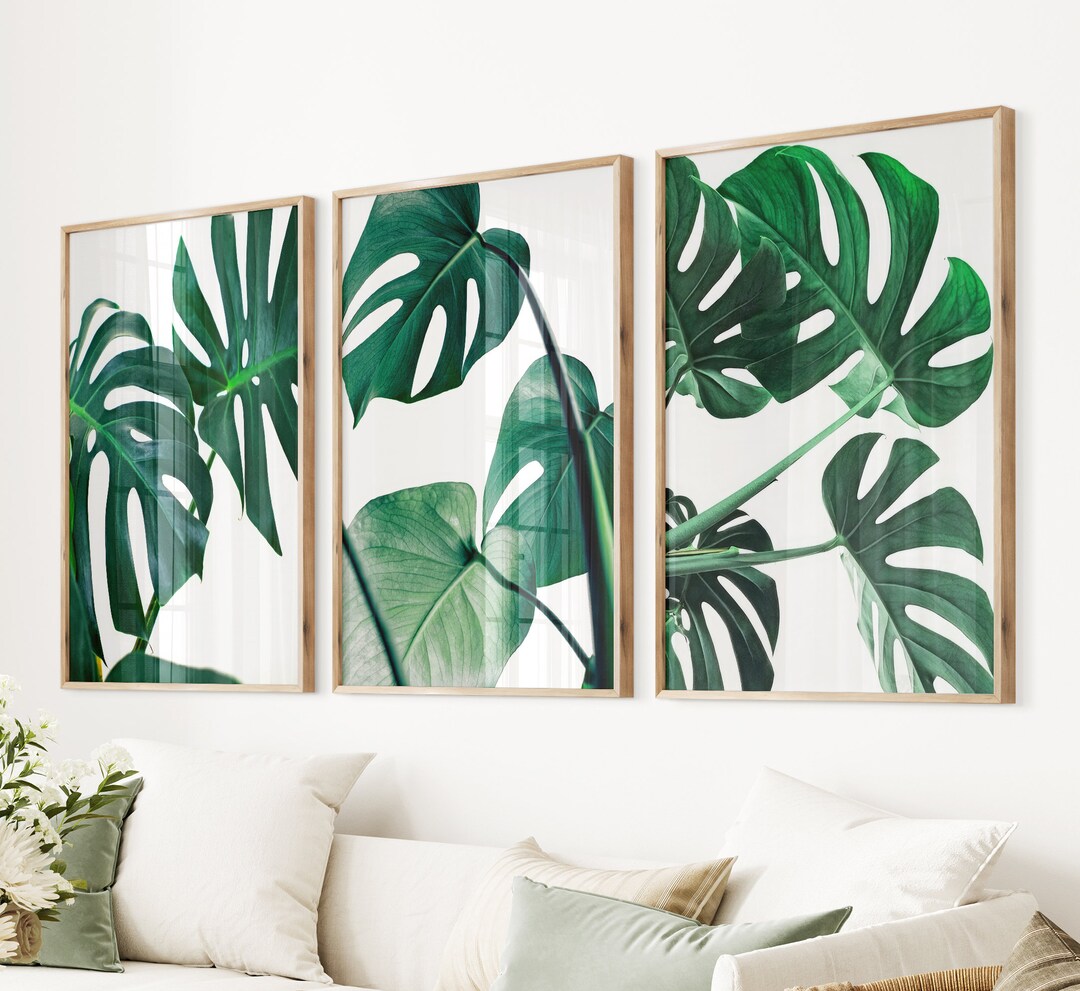 Monstera Set of 3 Tropical Leaves Botanical Photo Green Leaf Wall Art ...