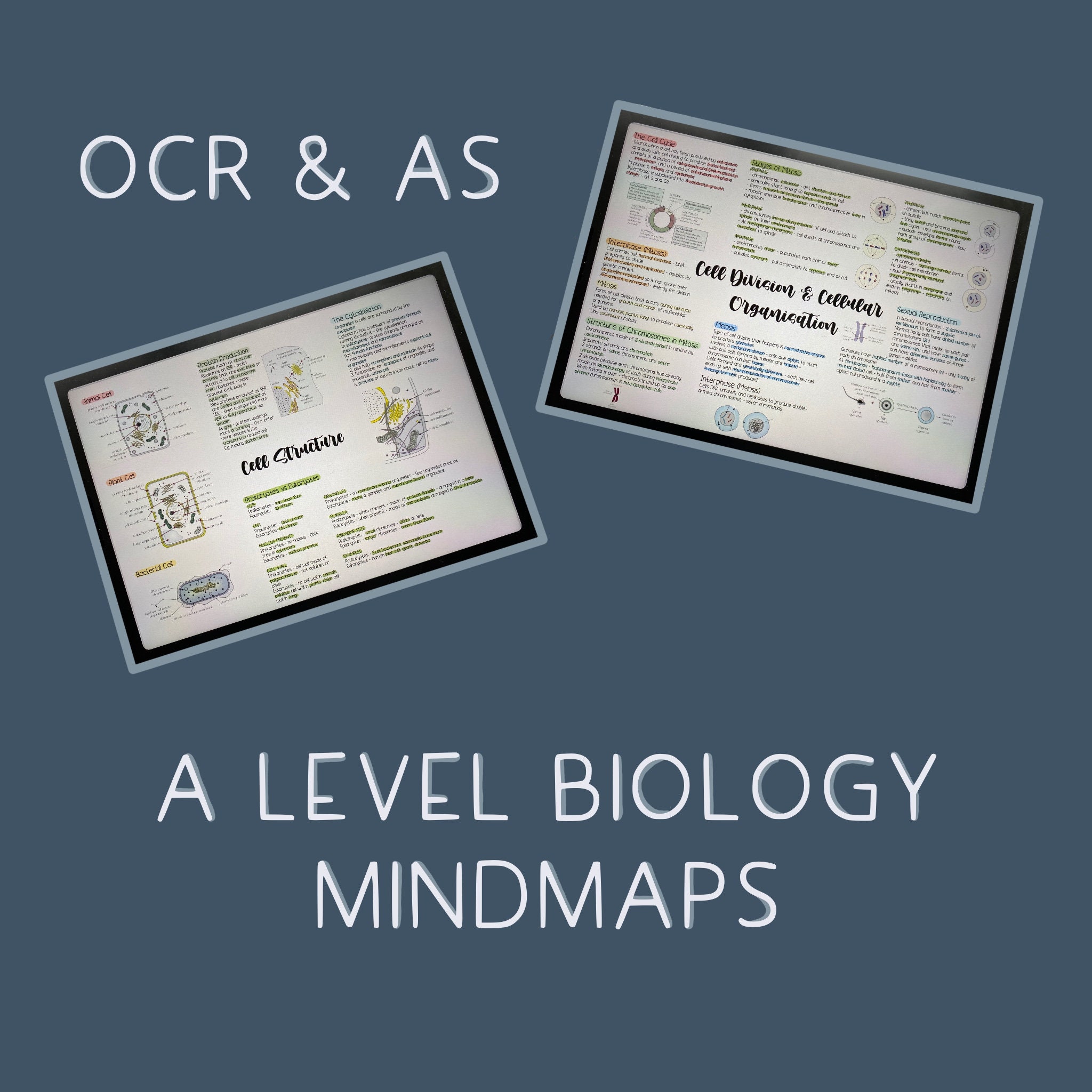 A Level Biology Biological Molecules Mindmap - Etsy Italia
