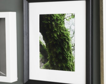 Orange Tree Print for Digital Download - Etsy