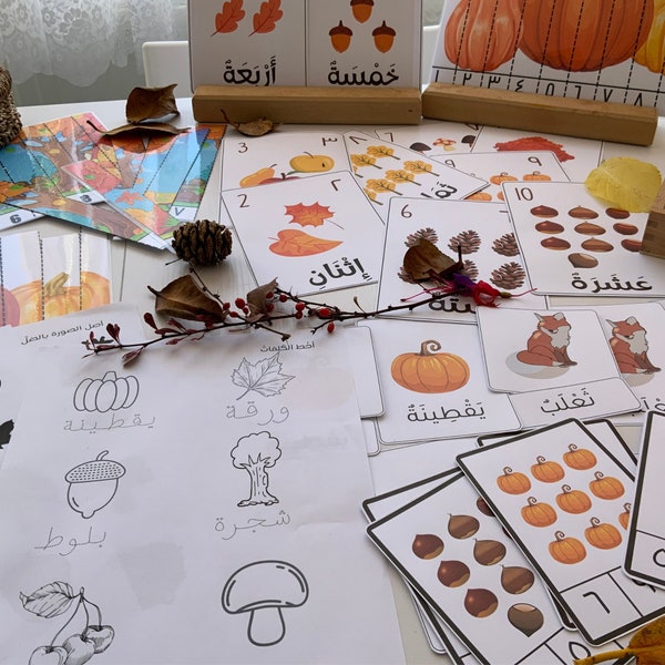 Montessori Language Worksheets - Etsy