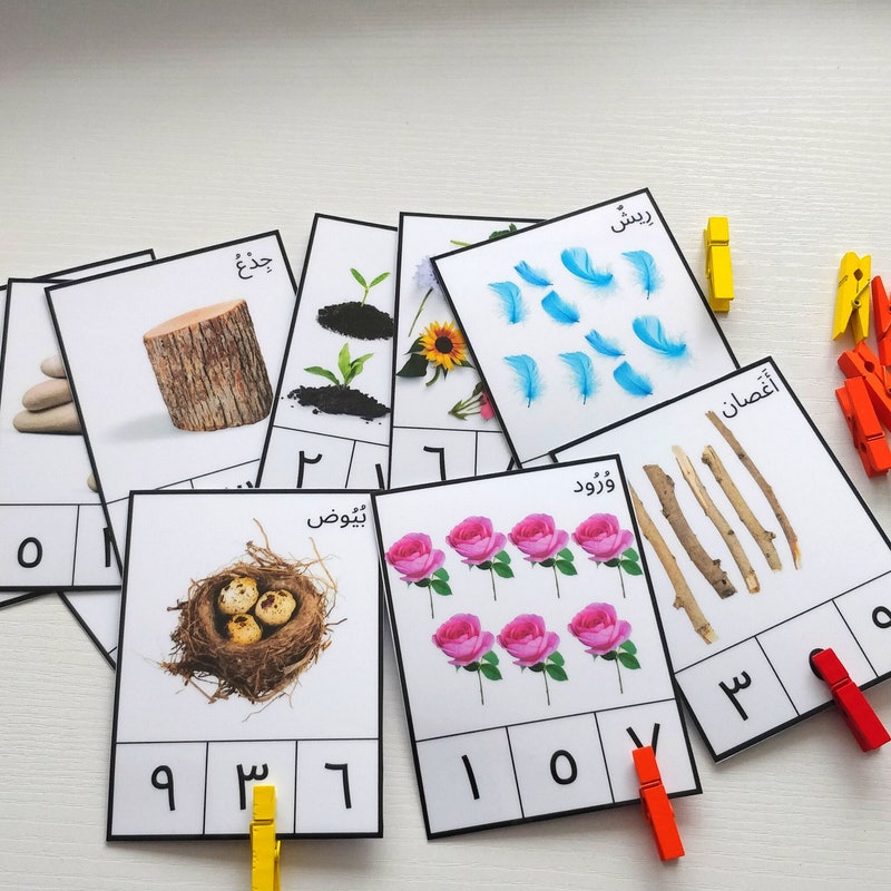 Count and Clip Cards - Etsy