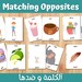 Arabic Words Opposites Matching Activity 20 Pairing Cards - Etsy