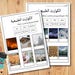 Arabic Natural Disasters Flashcards/labeling Worksheet | Natural Events ...