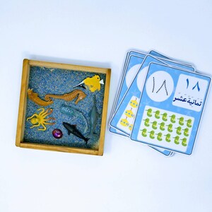 1-20 Arabic Numbers Tracing Cards, Arabic Numbers Flashcards, Learning ...