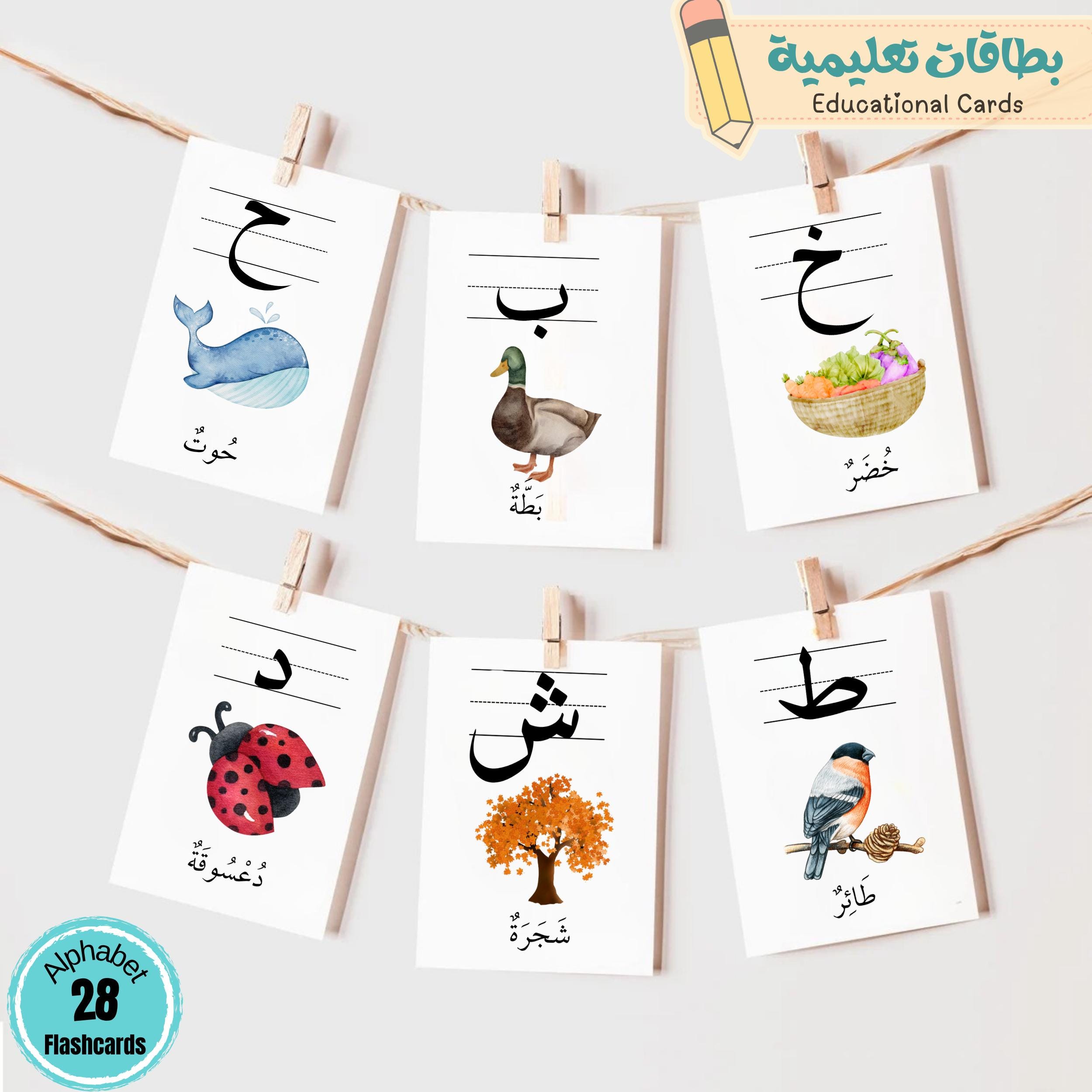 Printable Arabic Alphabet Flash Cards: Homeschool Learning (digital ...