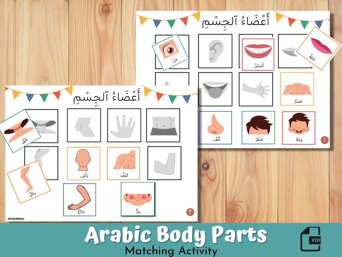Arabic Body Parts Matching Activity for Toddlers With - Etsy UK