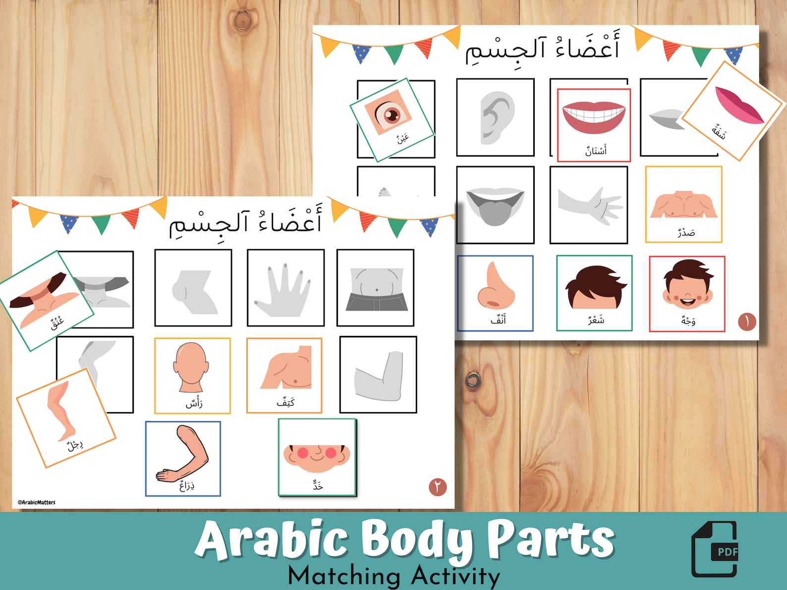 Arabic Body Parts Matching Activity for Toddlers With - Etsy UK