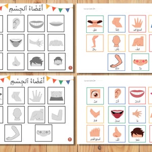 Arabic Body Parts Matching Activity for Toddlers With - Etsy UK