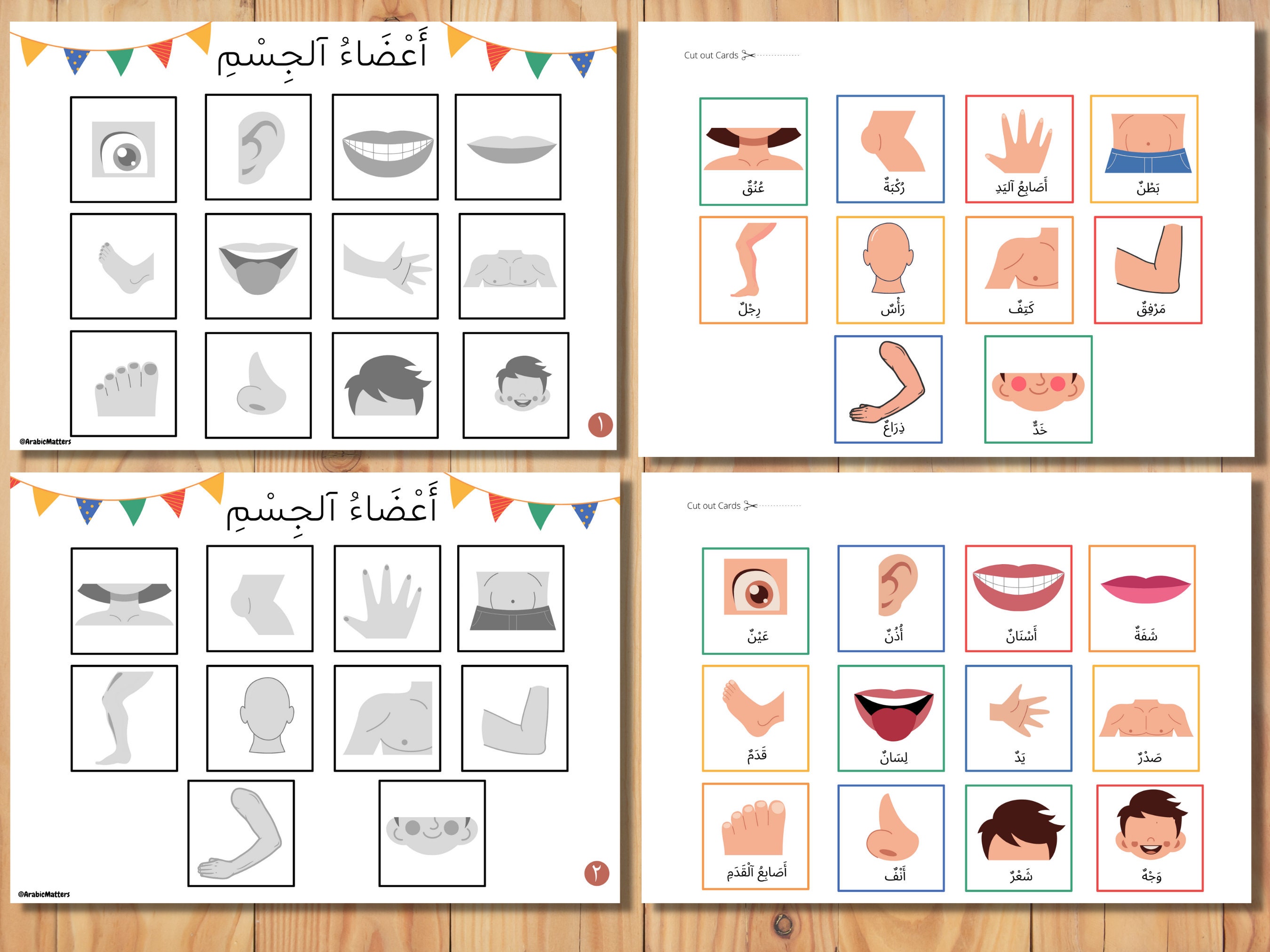 Arabic Body Parts Matching Activity: Toddler Learning Binder (3 PDF ...