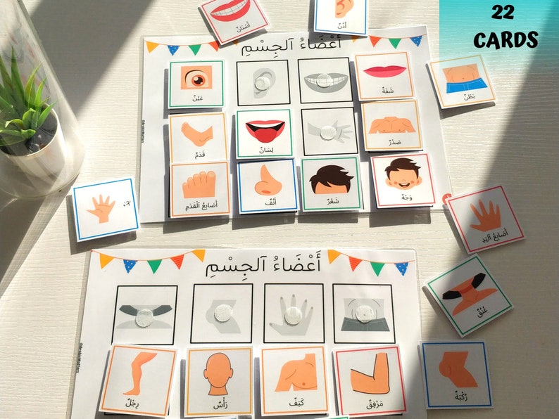Arabic Body Parts Matching Activity: Toddler Learning Binder (3 PDF ...
