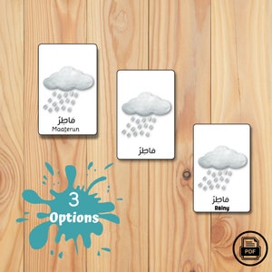 Arabic Weather Flash Cards and Poster: Homeschool Learning (digital ...