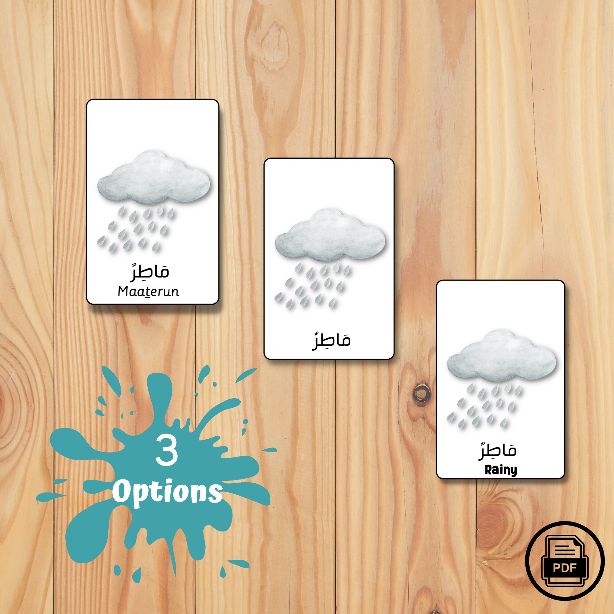 Arabic Weather Flash Cards and Poster Print Today's - Etsy