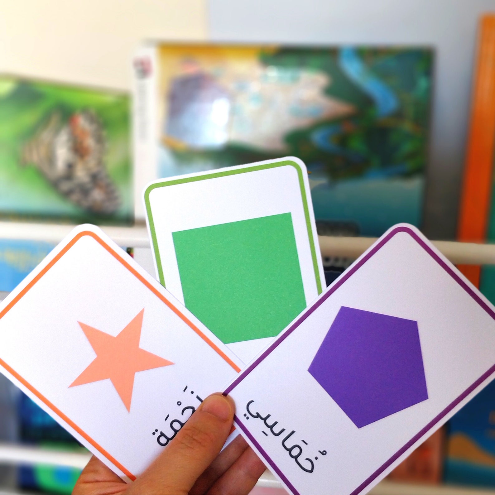 Arabic Shape Cards, Shapes in Arabic Flash Cards, Homeschool Materials ...