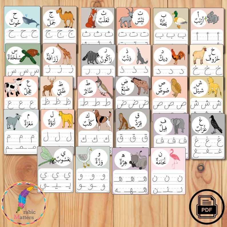 Animal Arabic Alphabet Tracing Cards: Homeschool Printable (PDF) - Etsy