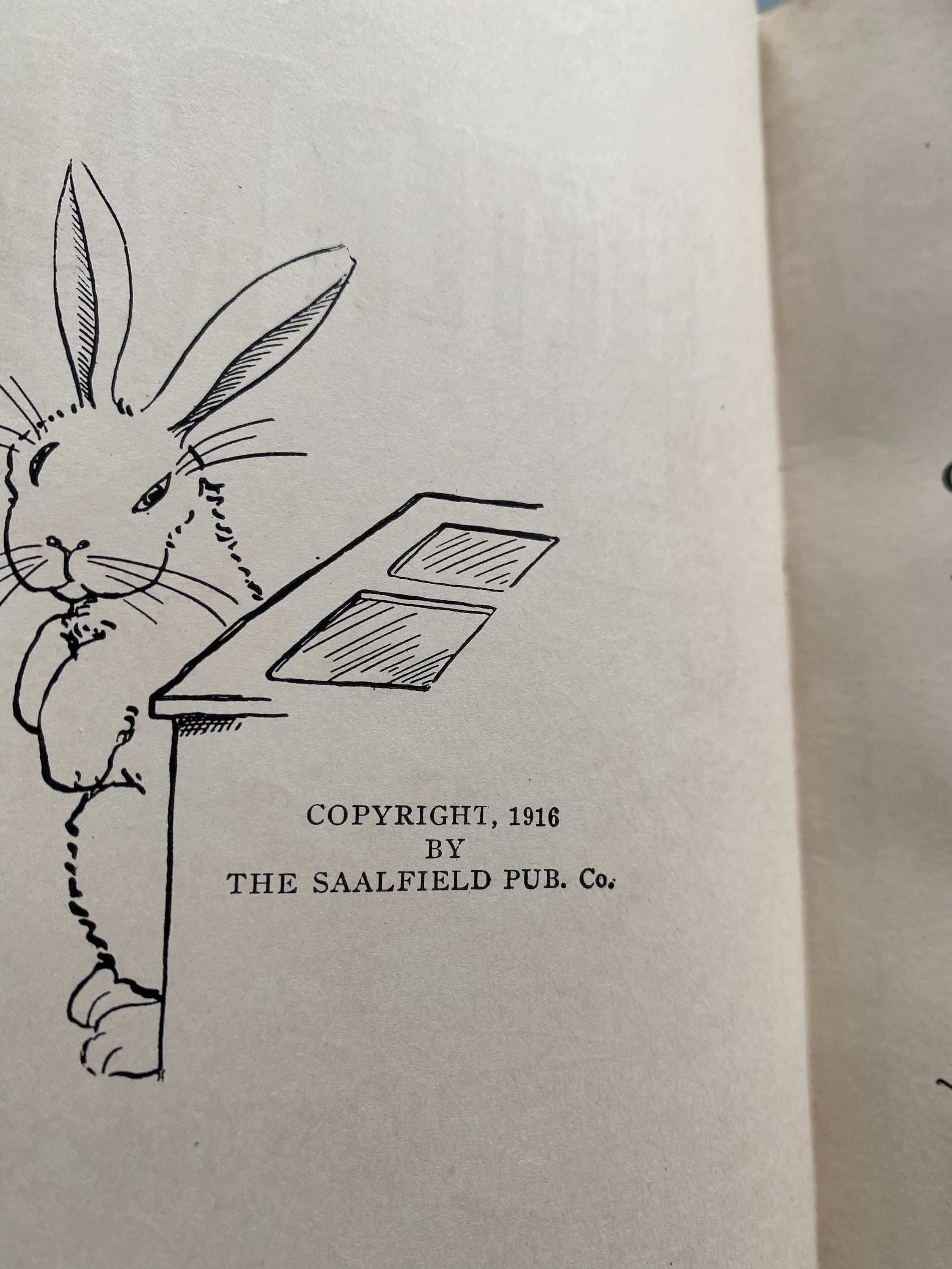 Peter Rabbit Stories the Tale of Peter Rabbit Beatrix Potter - Etsy