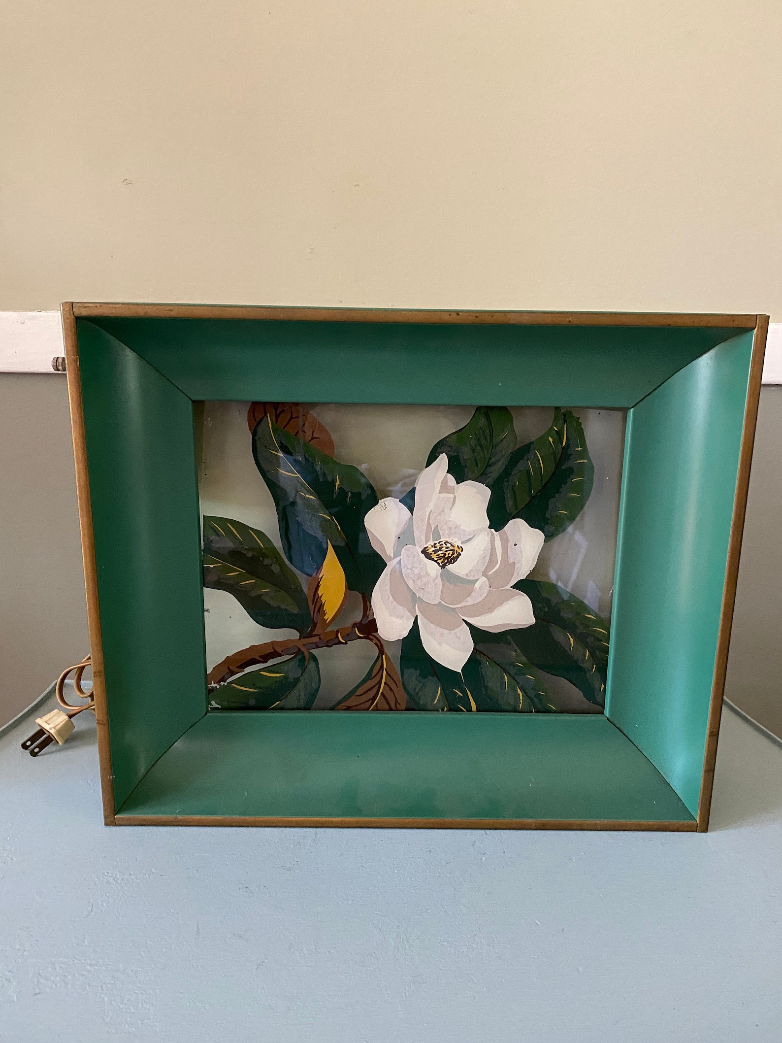 Lighted Shadow Box ~ Reverse Painted Tropical Flower - Etsy