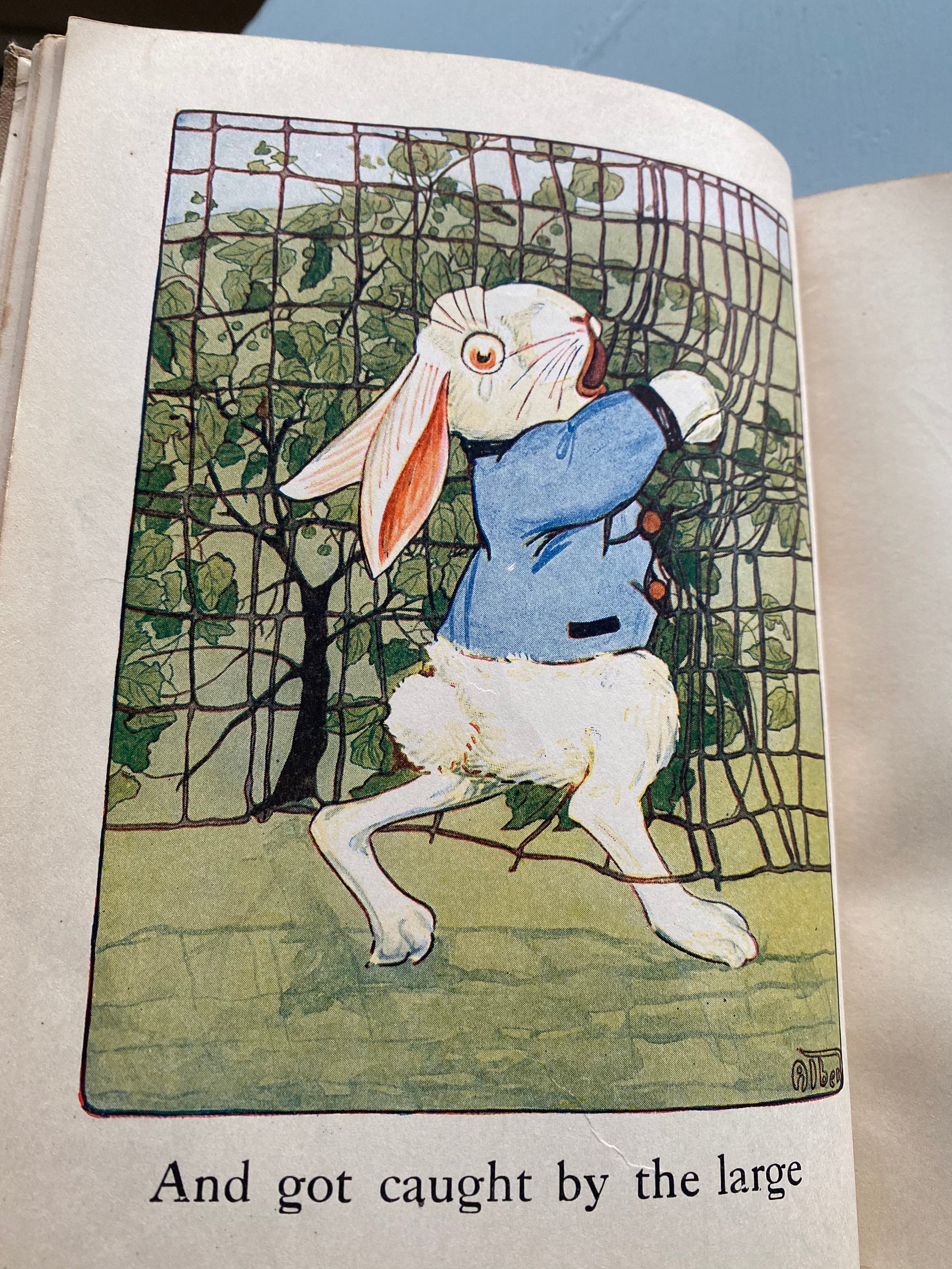 Peter Rabbit Stories the Tale of Peter Rabbit Beatrix Potter - Etsy