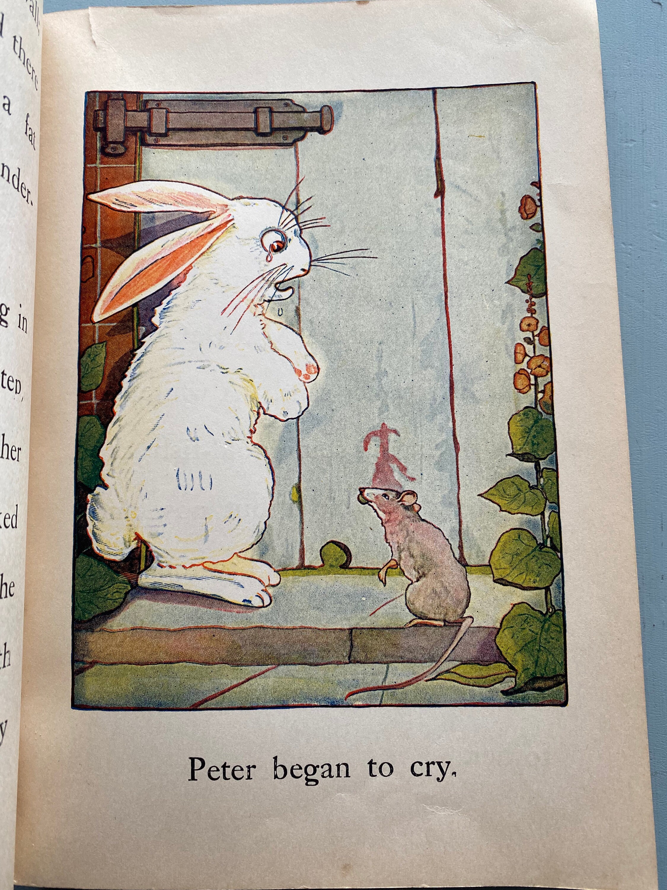Peter Rabbit Stories the Tale of Peter Rabbit Beatrix Potter - Etsy