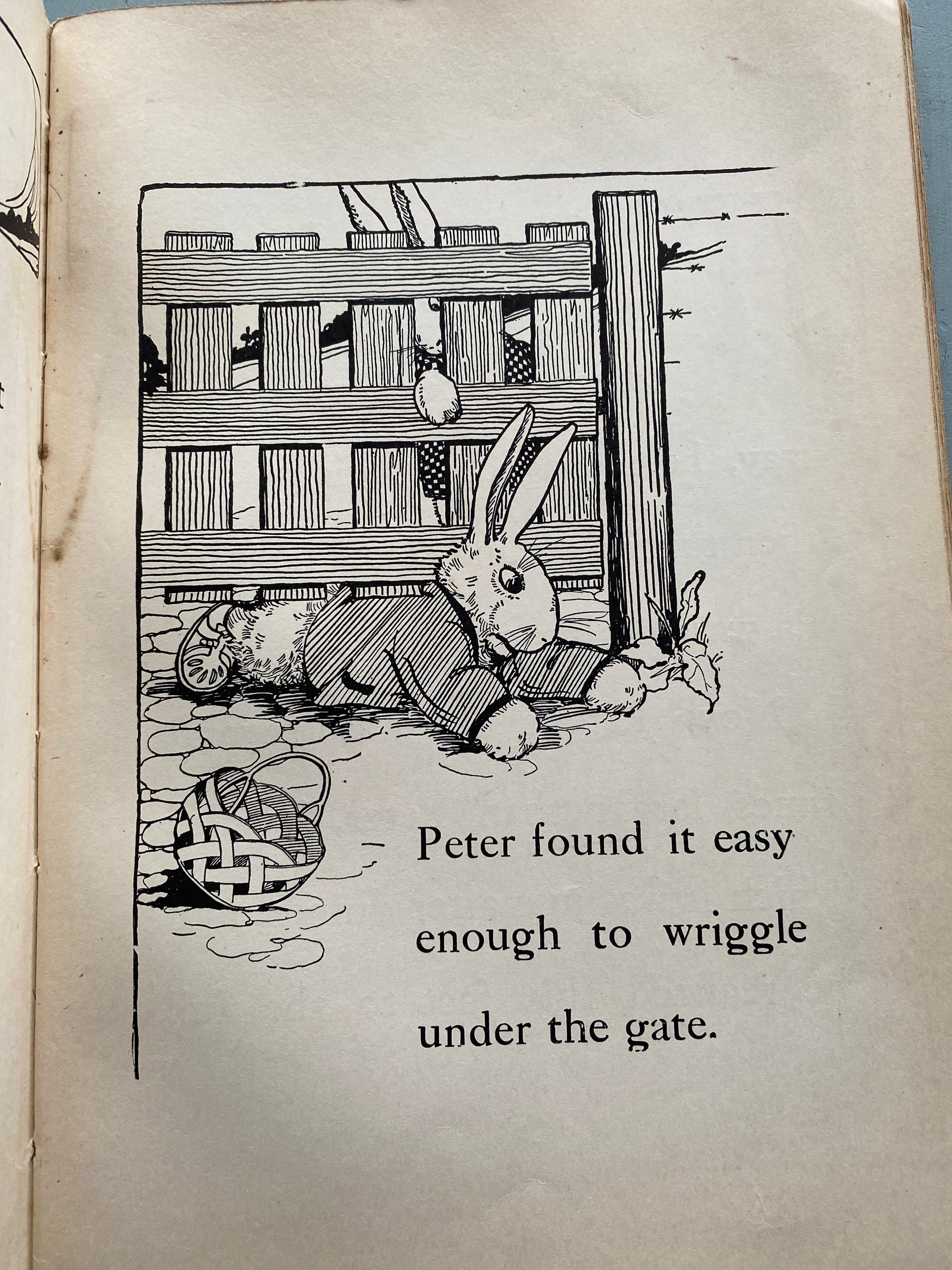 Peter Rabbit Stories the Tale of Peter Rabbit Beatrix Potter - Etsy