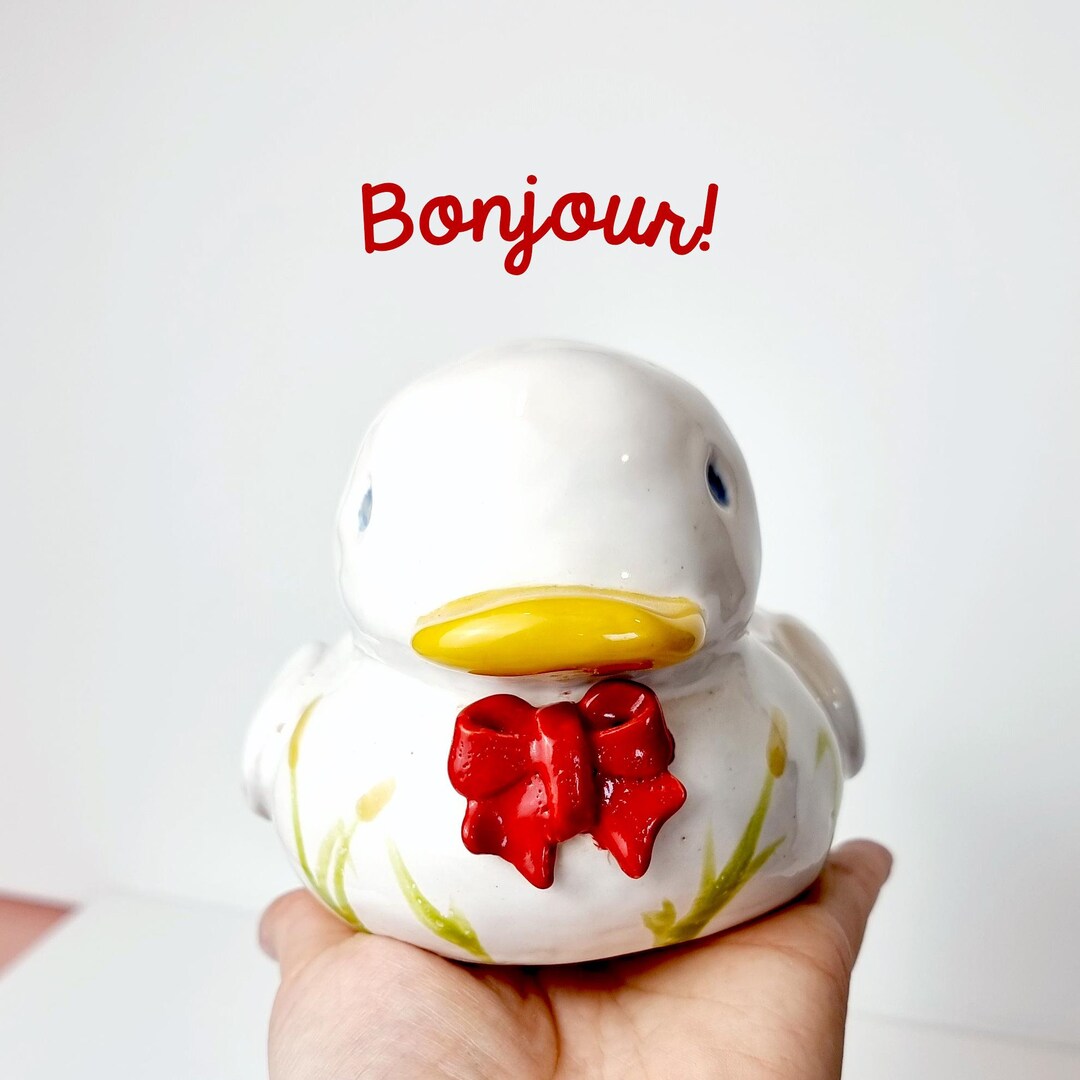 White Duck Ceramic Planter With Drainage Hole and Saucer Pond Calamus ...