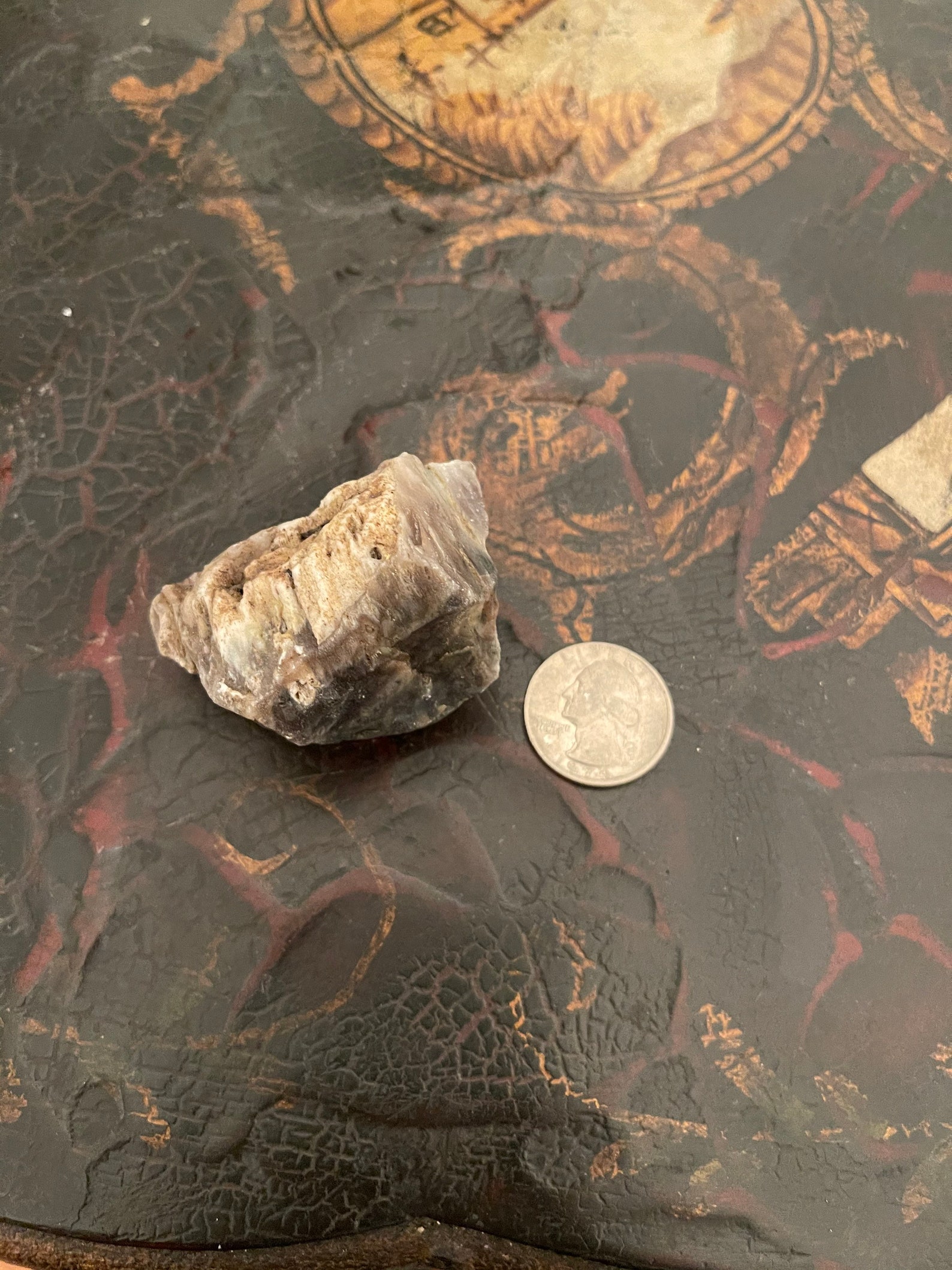 7. Black Palm Petrified Wood - Etsy