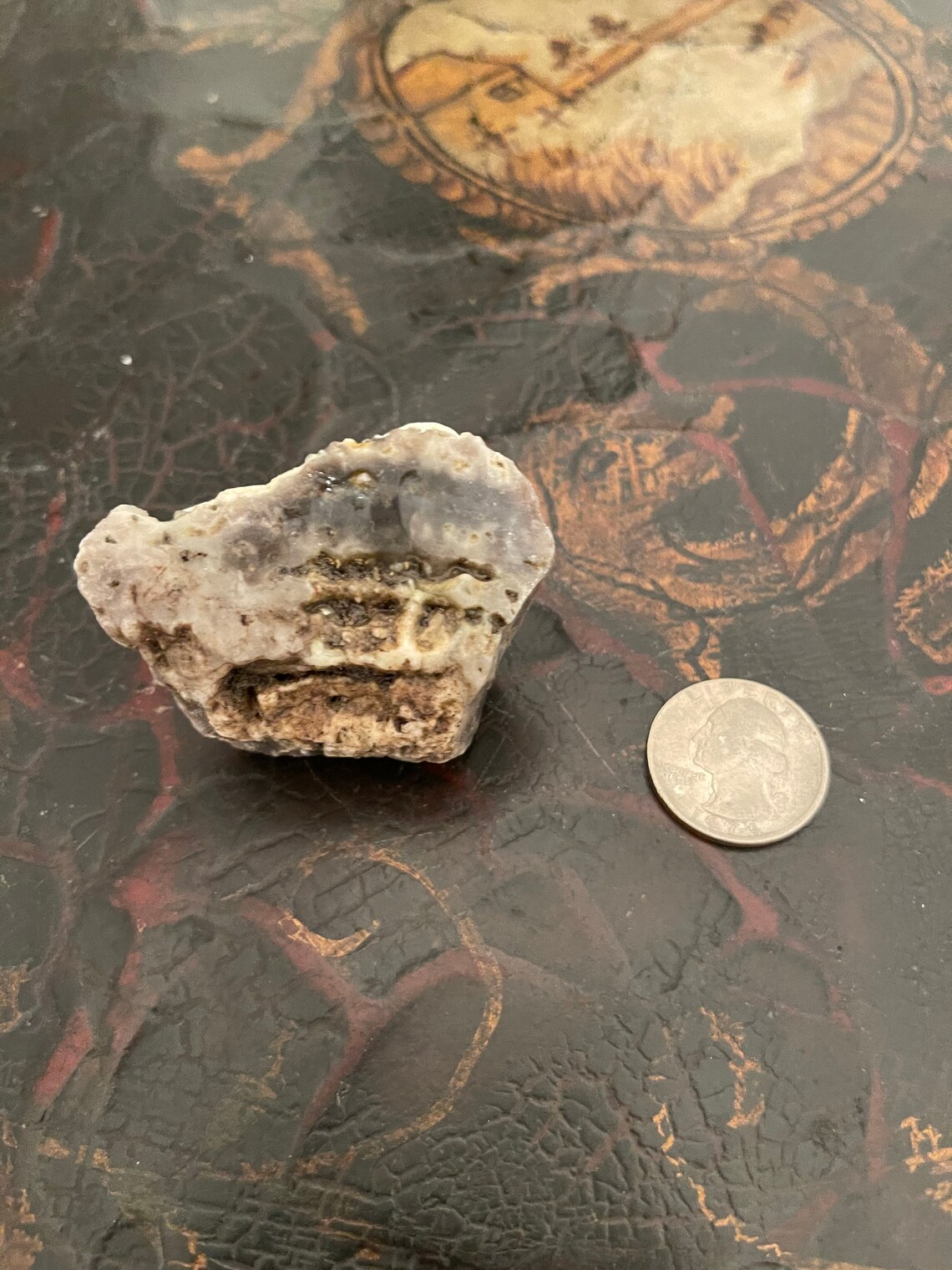 7. Black Palm Petrified Wood - Etsy