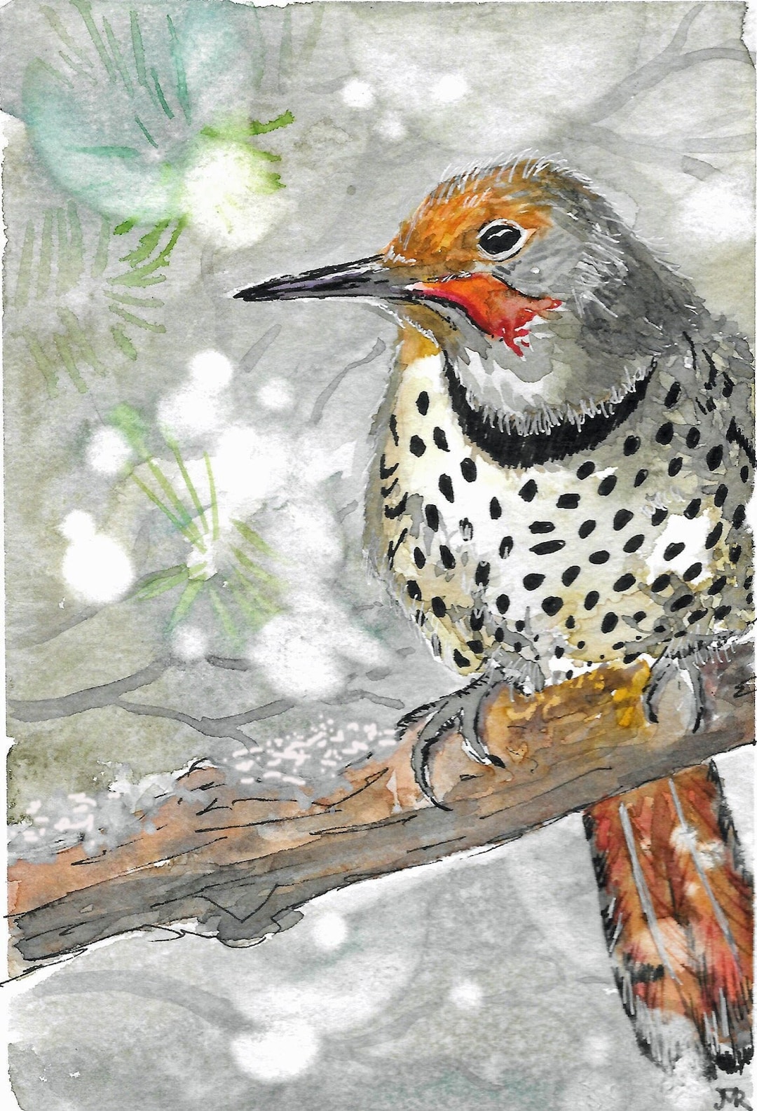 Northern Flicker 5x7 Card- Original Artwork. Suitable for Framing. Includes Embossed Envelope ...