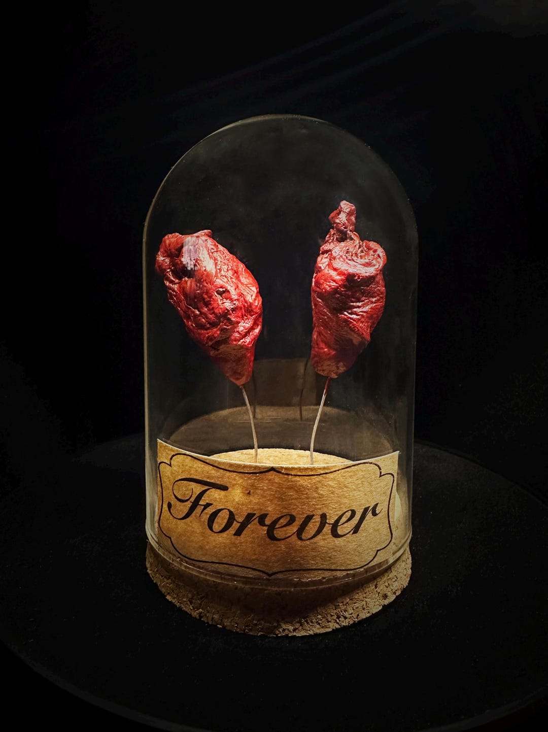 Real Heart in a Jar - 2 Hearts in a Vintage Style Dome - Steampunk ...