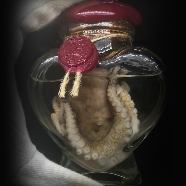Octopus Heart - Etsy