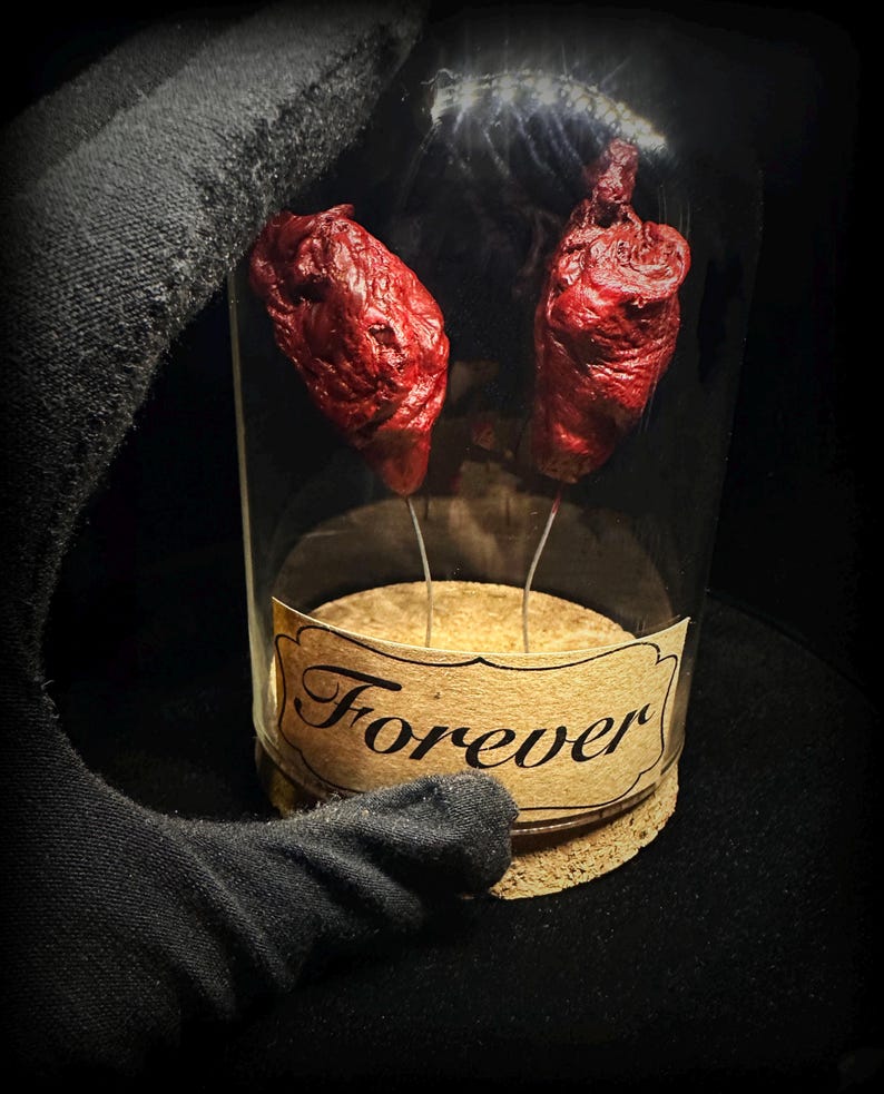 Real Heart in a Jar - 2 Hearts in a Vintage Style Dome - Steampunk ...