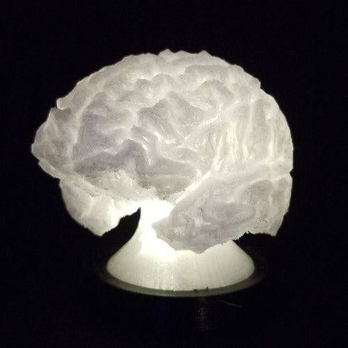 Brain Lamp - Etsy