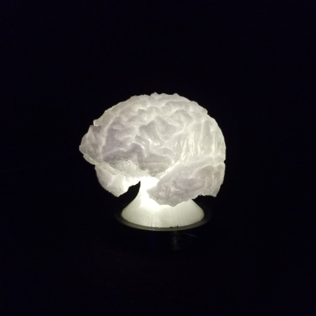 Brain Lamp - Etsy
