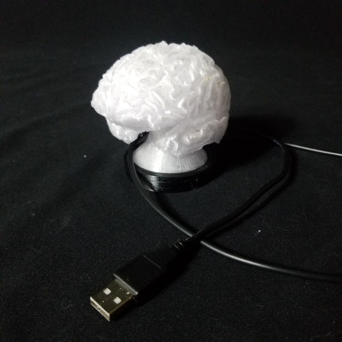 Brain Lamp - Etsy