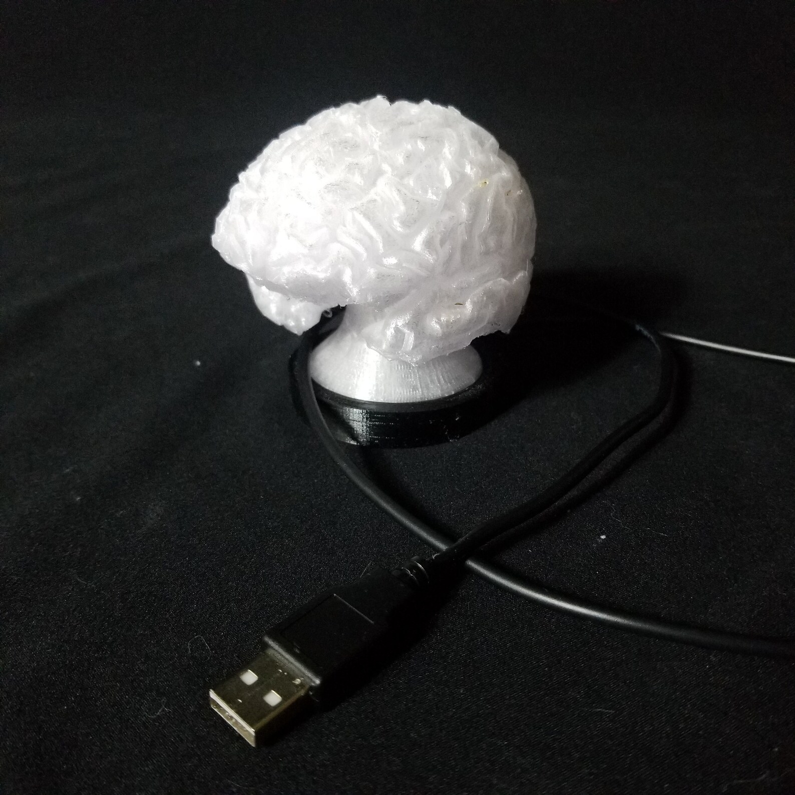 Brain Lamp - Etsy