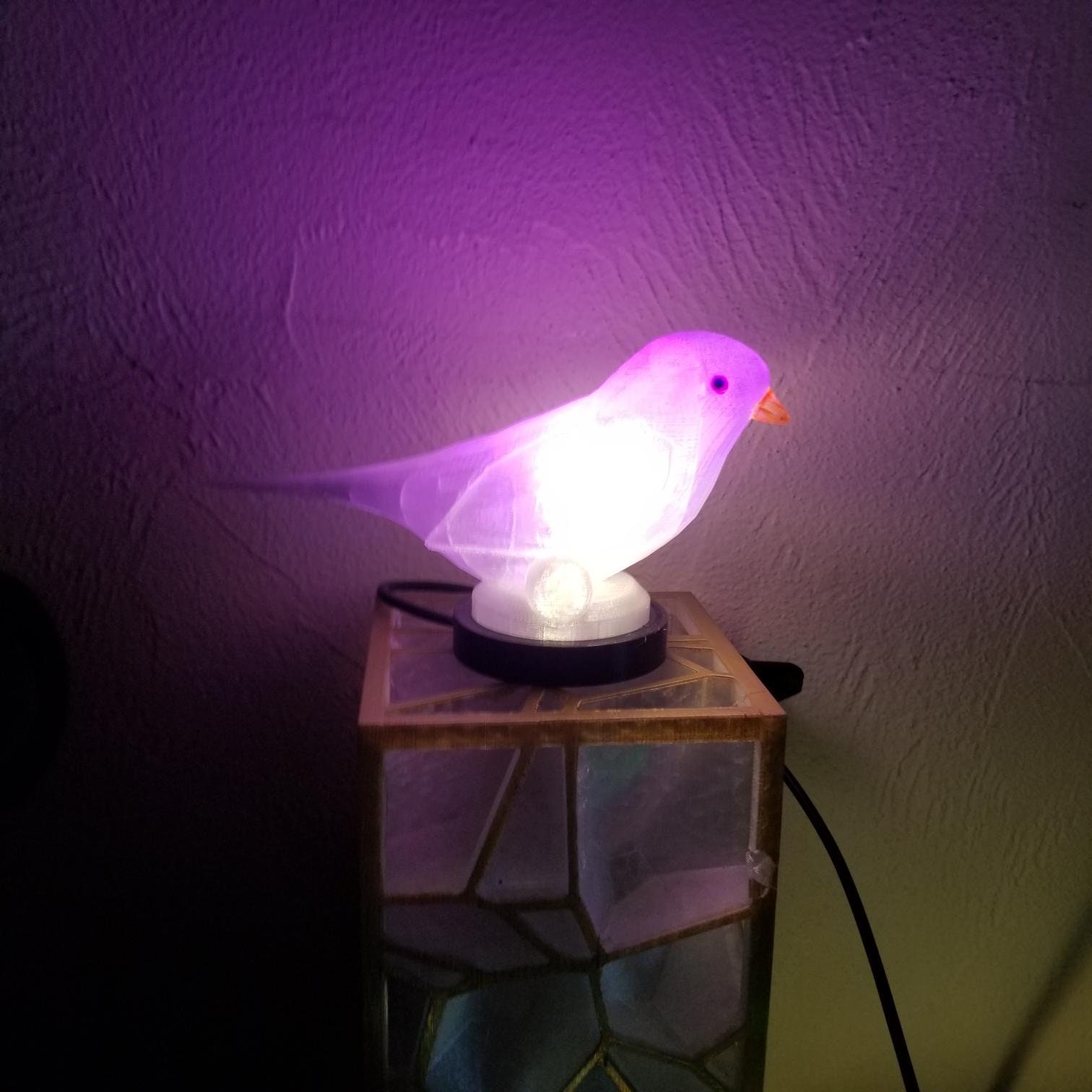 Bird Lamp | Etsy