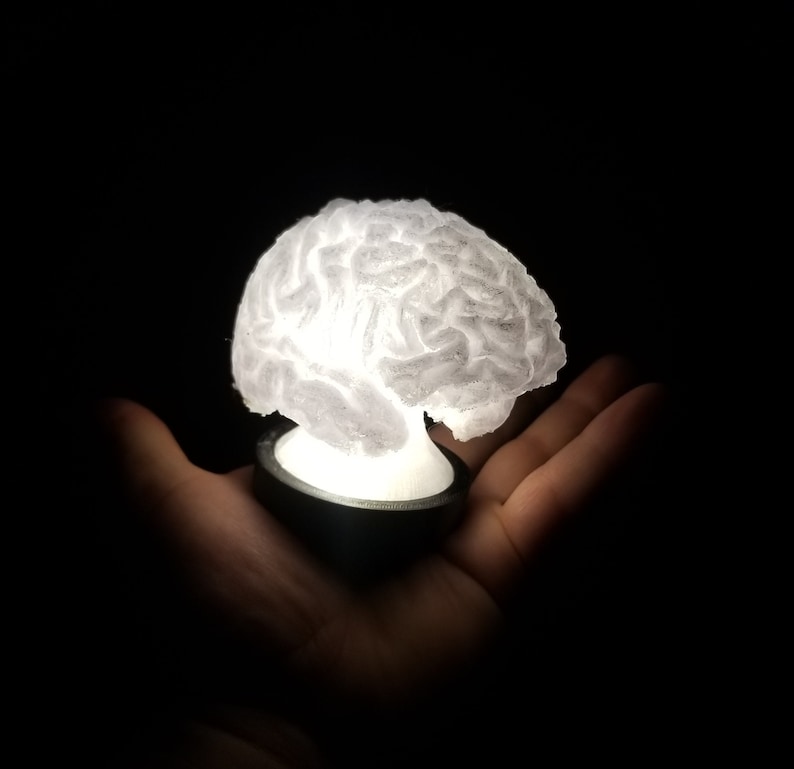 Brain Lamp - Etsy