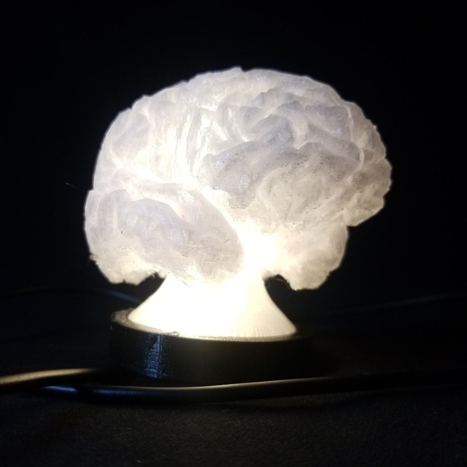 Brain Lamp - Etsy