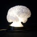 Brain Lamp - Etsy