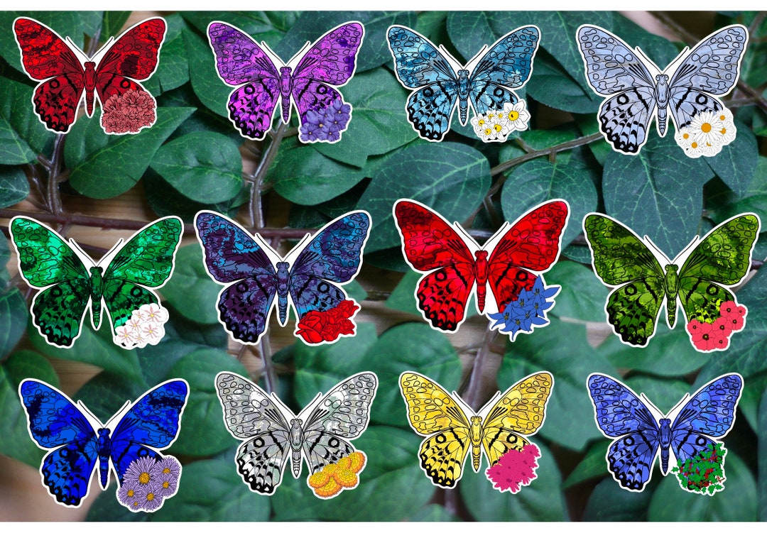 Birth Month Butterflies / Birth Stone / Birth Flower / January ...