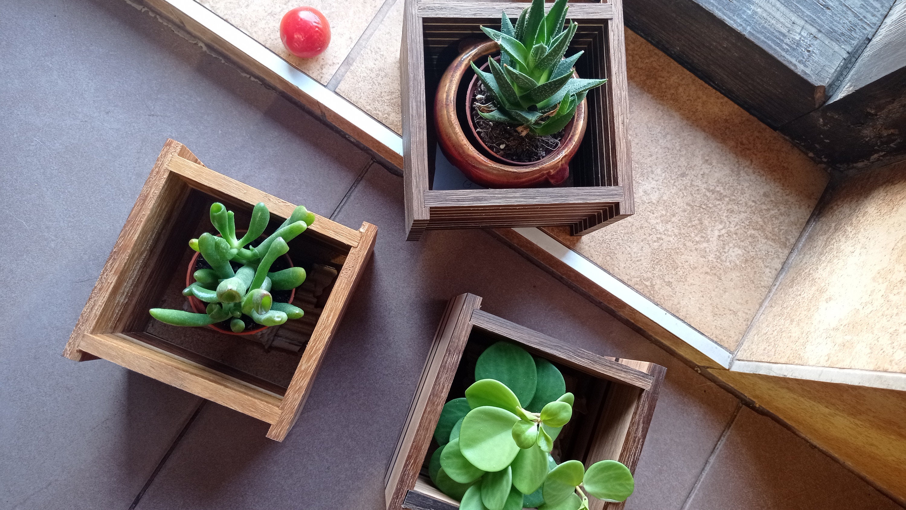 Cute Plant Pot Indoor Planter Bedroom Decor Plantlover - Etsy