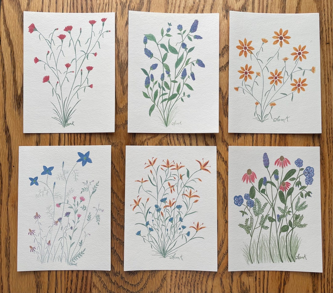 Wildflower Note Card Set/blank Notecards/floral Notecards/set of 12 ...