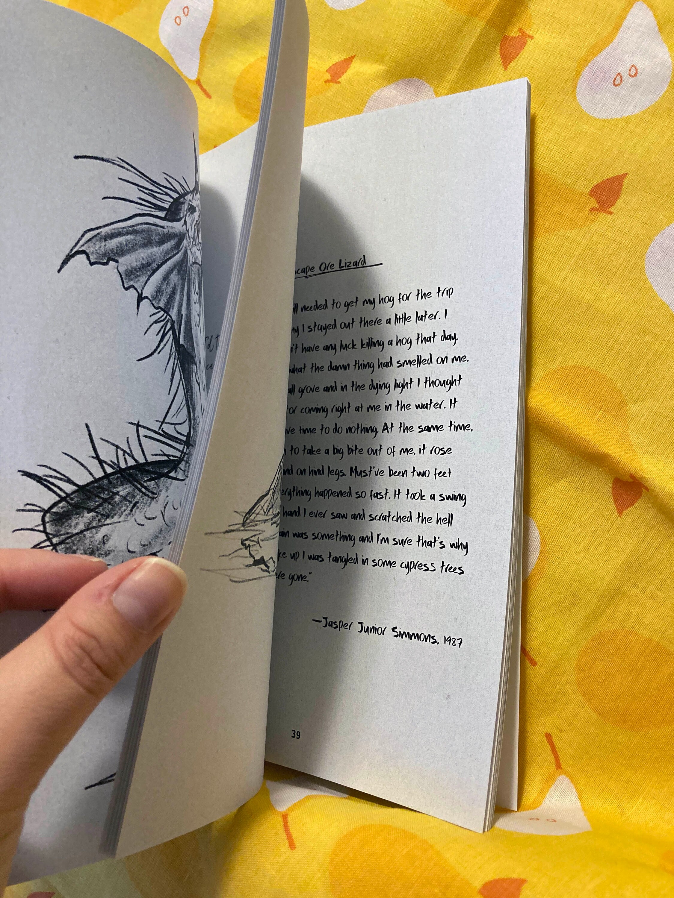 Cryptid Guidebook Zine - Etsy