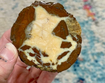 Thunder Egg Geode - Etsy