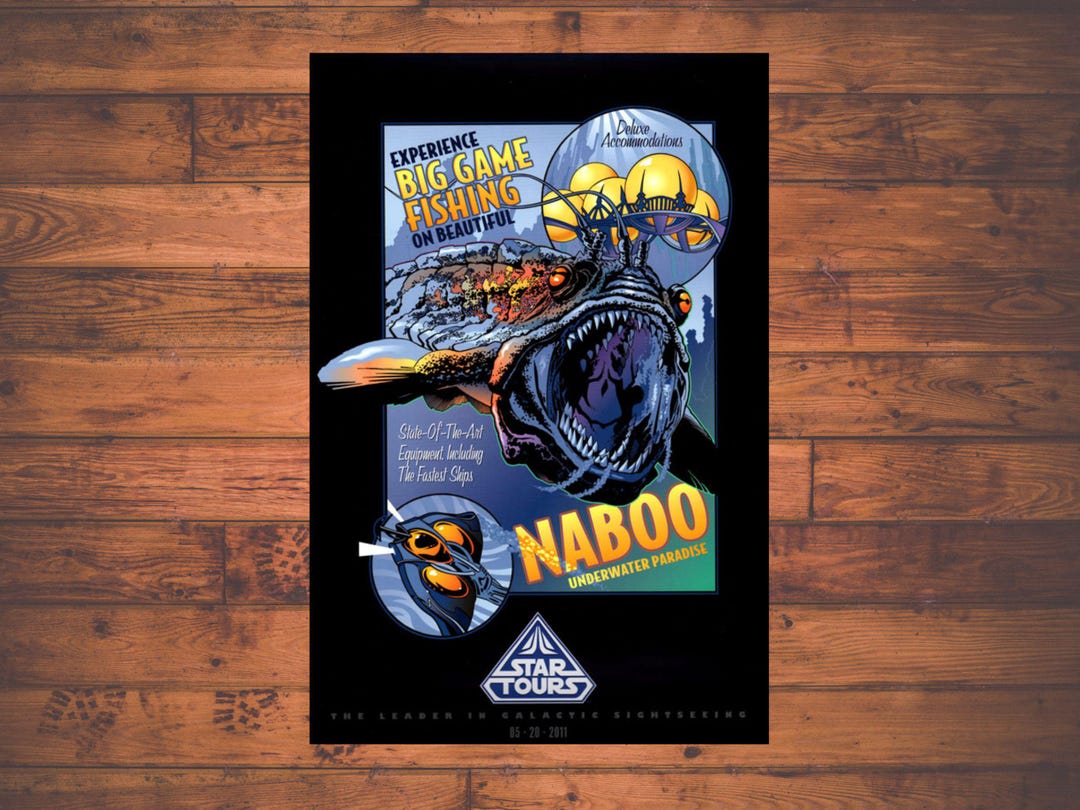 PP186 Disney Star Wars Naboo Ride Poster - Etsy