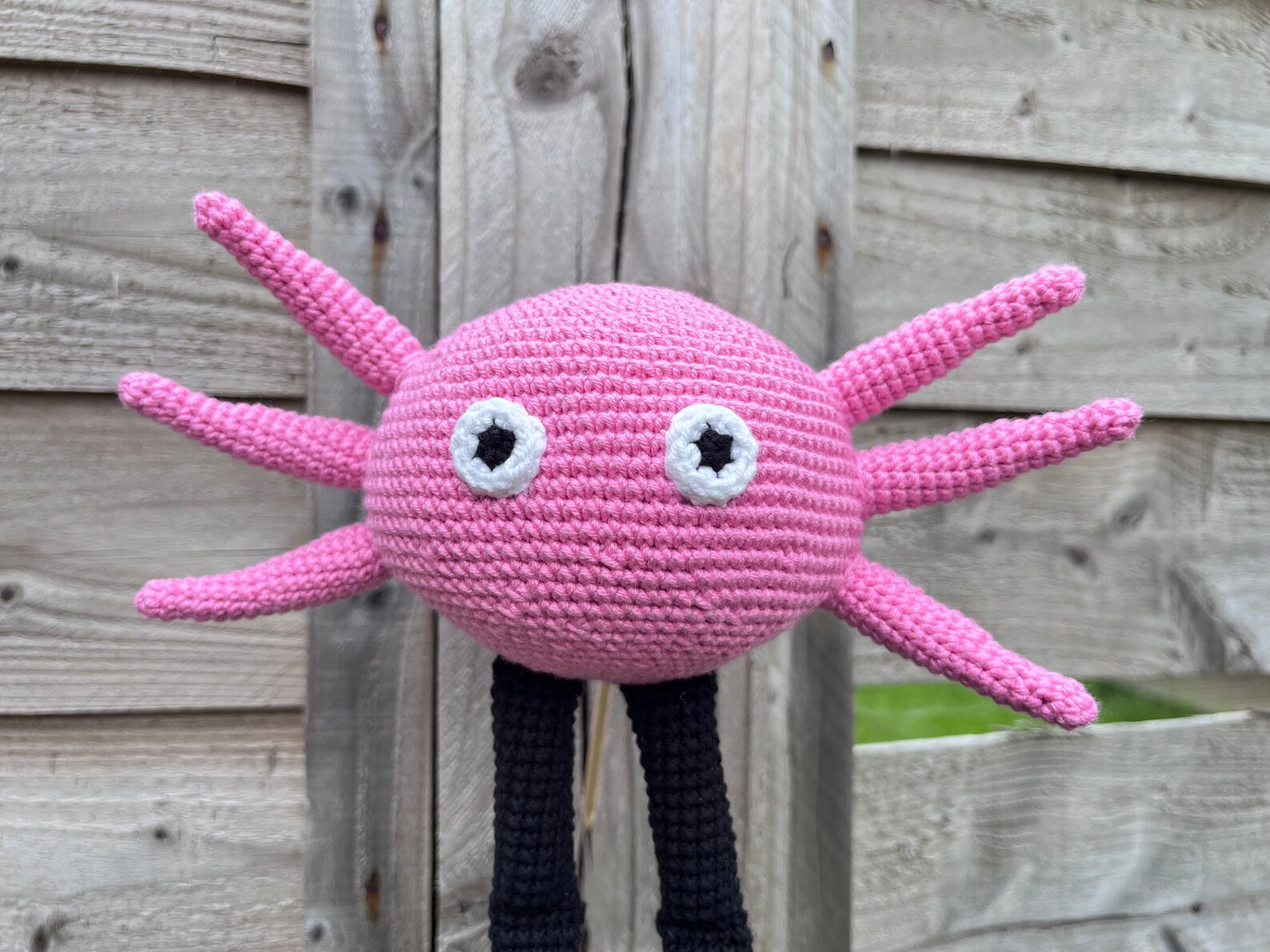 Kinito the Axolotl Kinitopet Your Friends Crochet Toy Amigurumi - Etsy
